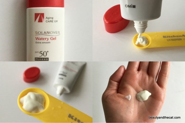 Land of the Rising Sunscreen: Japanese PA++++ Sunscreen Reviews ...