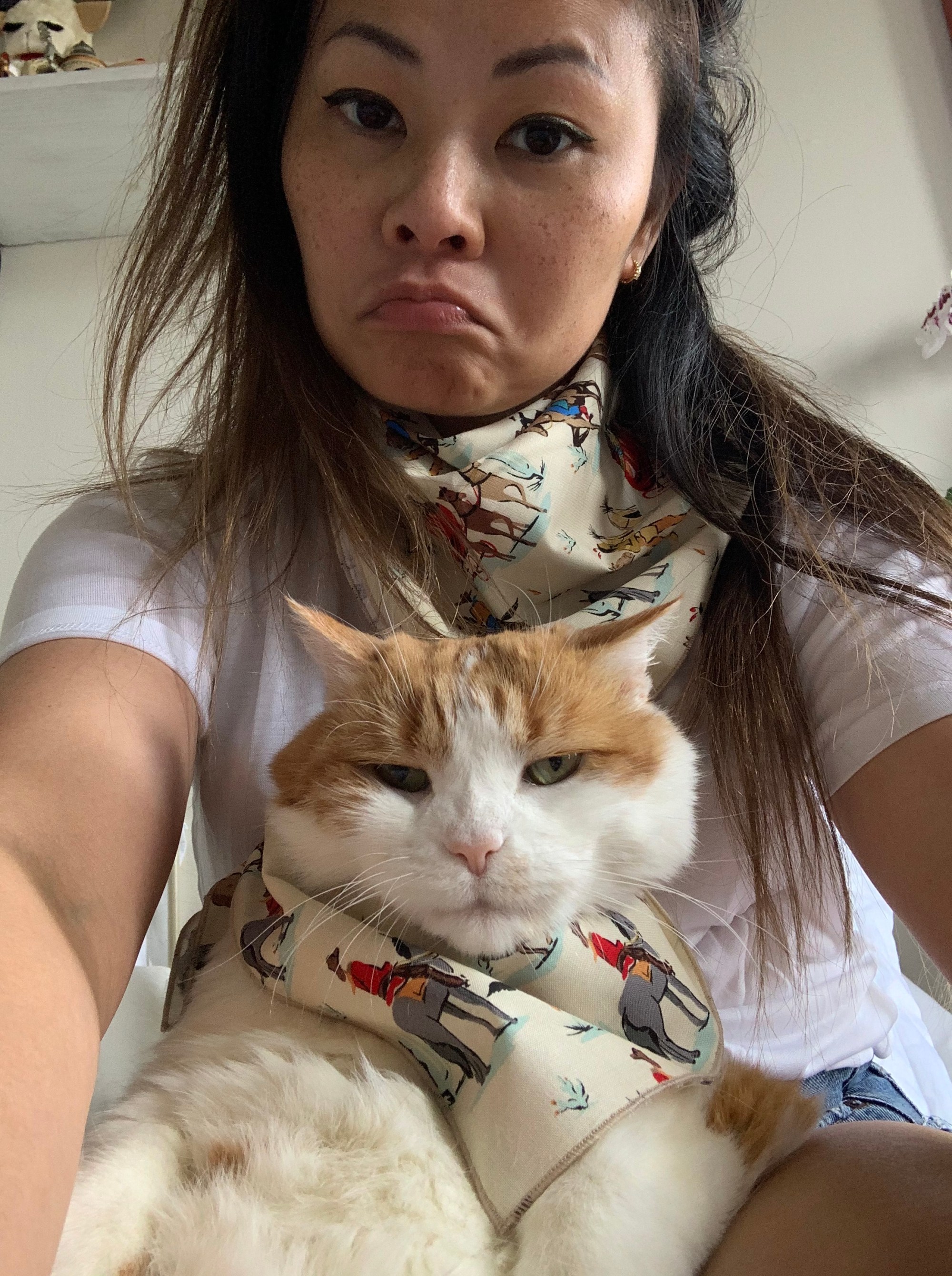 BeautyandtheCat's Beauty Blog – "The cat is beauty and the beast, a ...